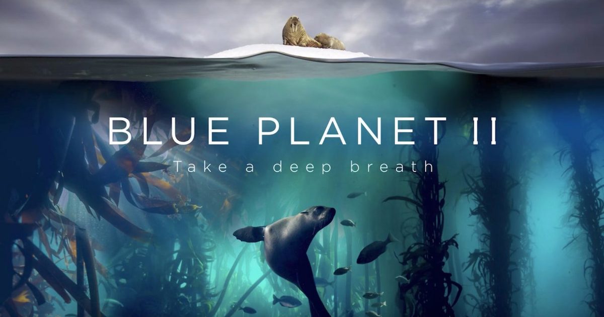 Why do we have anti-plastic paranoia? | National Flexible