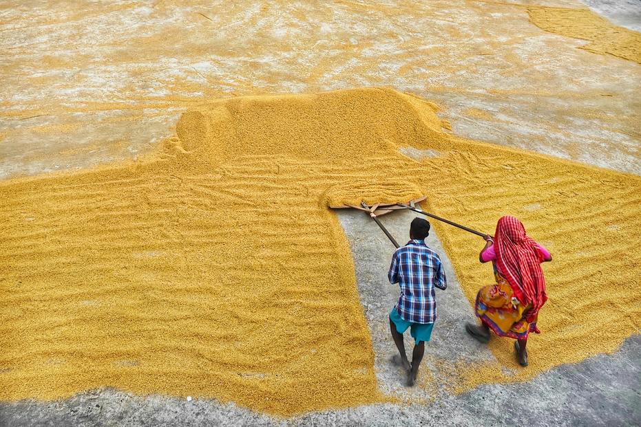 The UK'S most Ethical Rice! | National Flexible