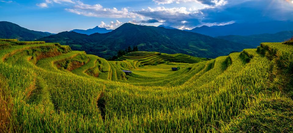 The UK'S most Ethical Rice! | National Flexible